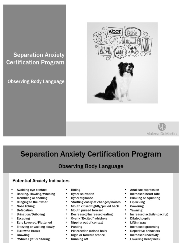 Observing Body Language List | PDF