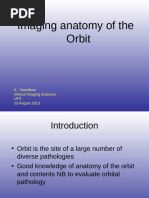 Optic Foramen Radiographic Overview | PDF