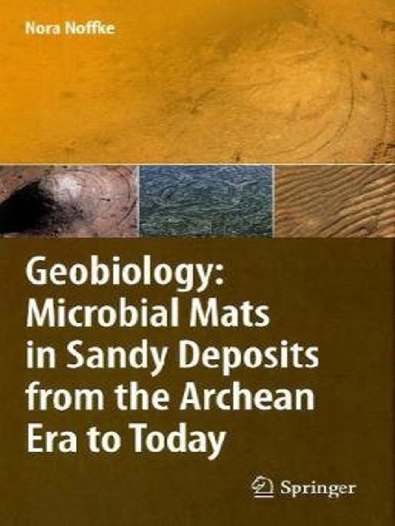 NOFFKE Microbial Mat Book | PDF | Fossil | Microorganism