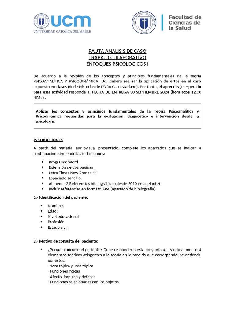 Pauta Analisis de Caso PSIC (Trabajo Colaborativo) 2024 | PDF | Psicoanálisis | Sicología
