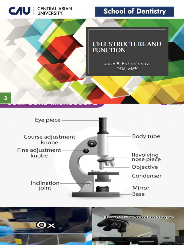 Cell Structure & Function | PDF