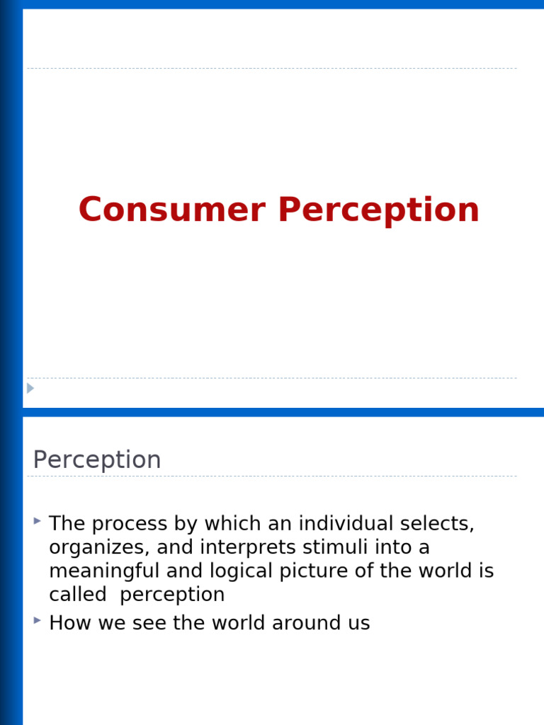 Consumer Perception Pdf Senses Perception