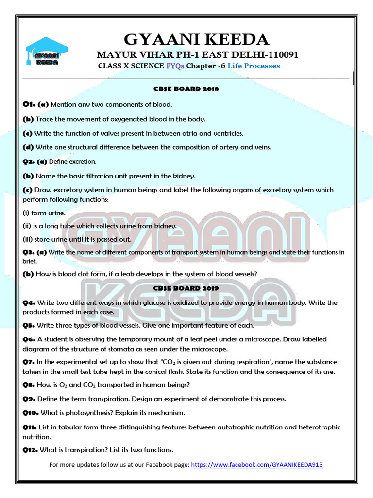 Life Processes PYQs (2011-2020) | PDF | Blood | Digestion