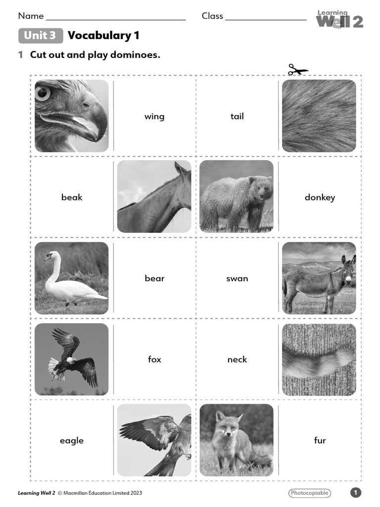 LW TRC2 Vocabulary U03 | PDF