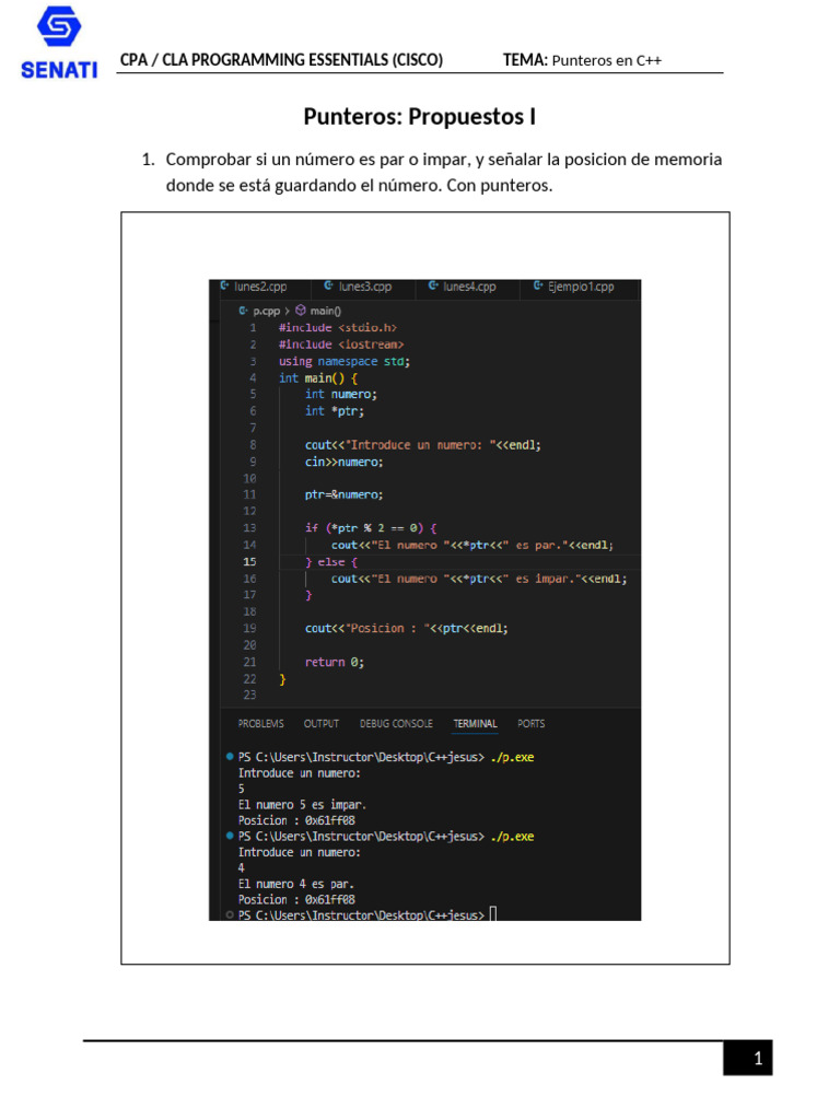 C++ - Punteros - Propuestos 1 | PDF