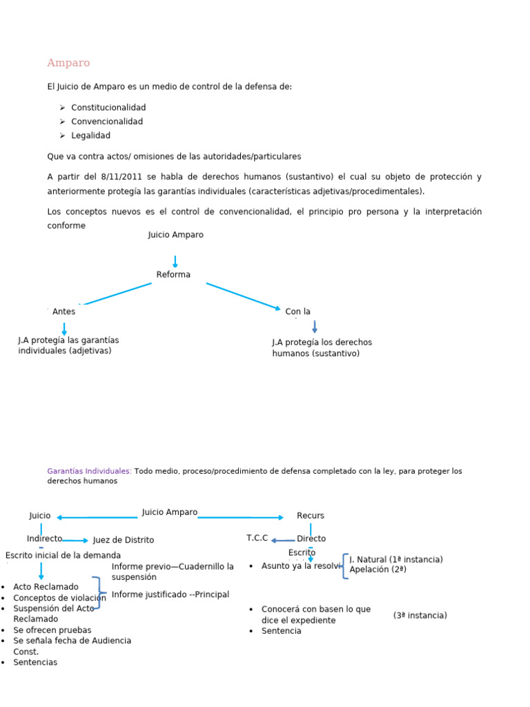 Amparo Final | PDF | Derecho Constitucional | Sentencia (ley)