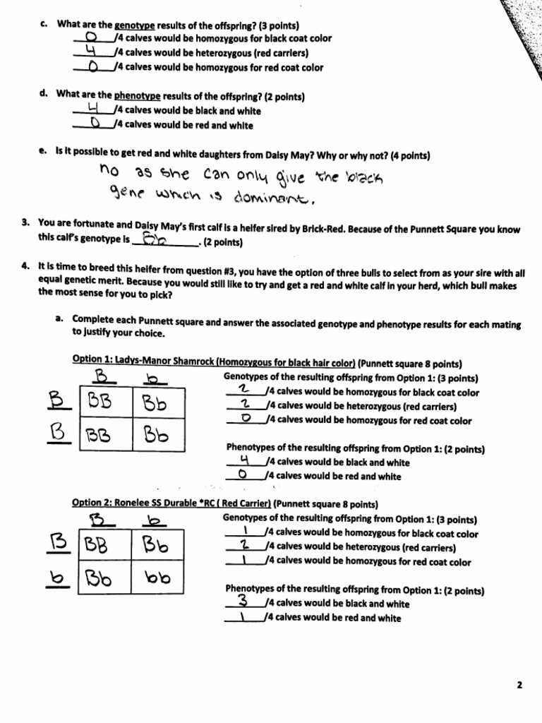 Dairy Genetics | PDF