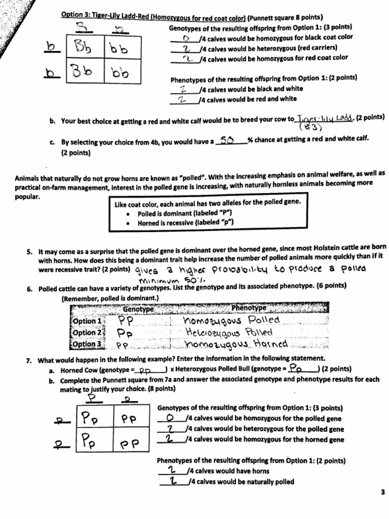 Dairy Genetics | PDF