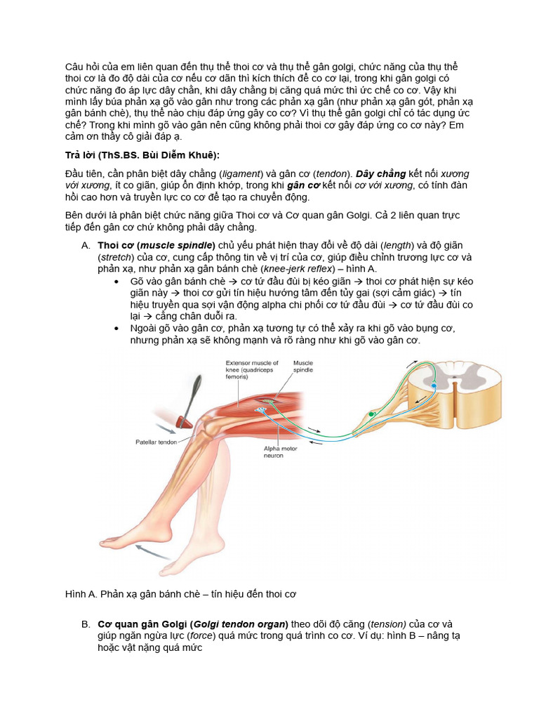 Giai Dap Module HNSB 2024 - BS Khue | PDF