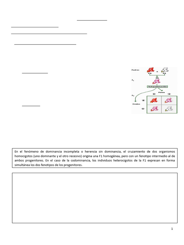Apunte Completo Genética. Cruzamientos. Teoría y Problemas | PDF ...
