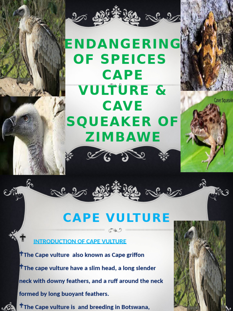 Endangering of Speices | PDF