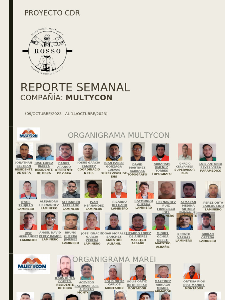 Reporte Ehs Semana 41 Guia para Reporte | PDF