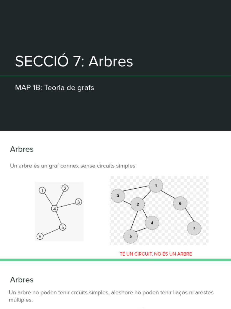 Secció 7 - Arbres | PDF