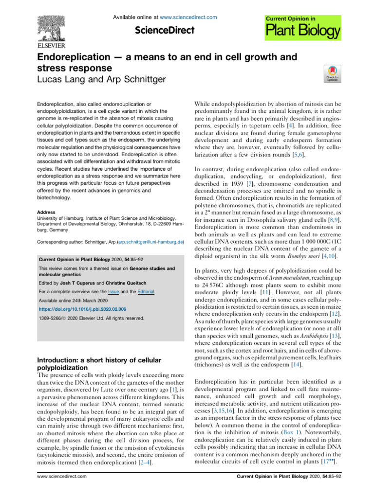 Endoreplication in Plant Cell Growth | PDF | Mitosis | Cell Cycle