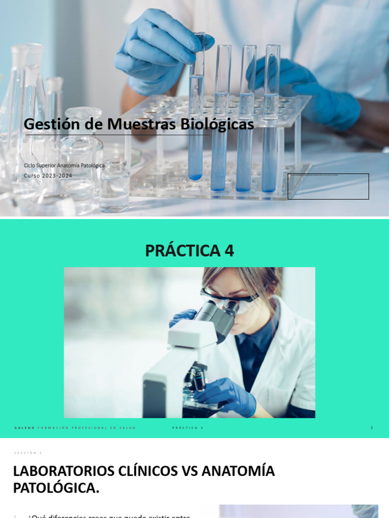 Practica Gestión Muestra Biologicas | PDF | Patología | Laboratorio médico