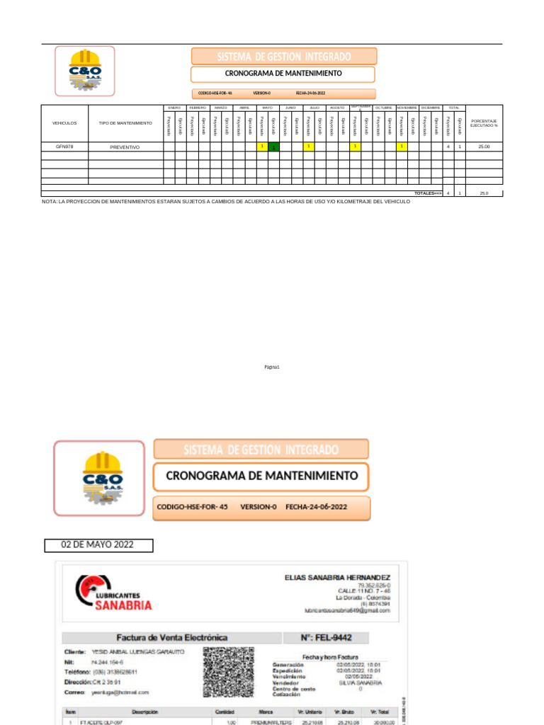 FT-SST-46 Form. Cron. Mtto | PDF