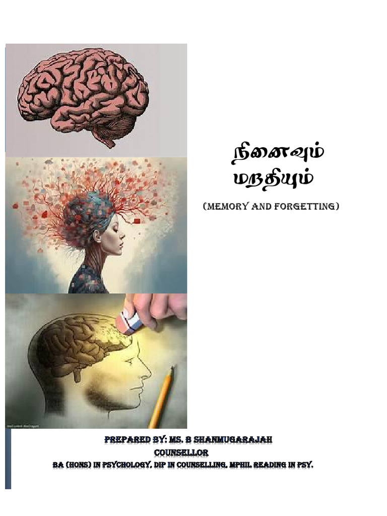 Memory and Forgetting | PDF | Cooking, Food & Wine | Science & Mathematics