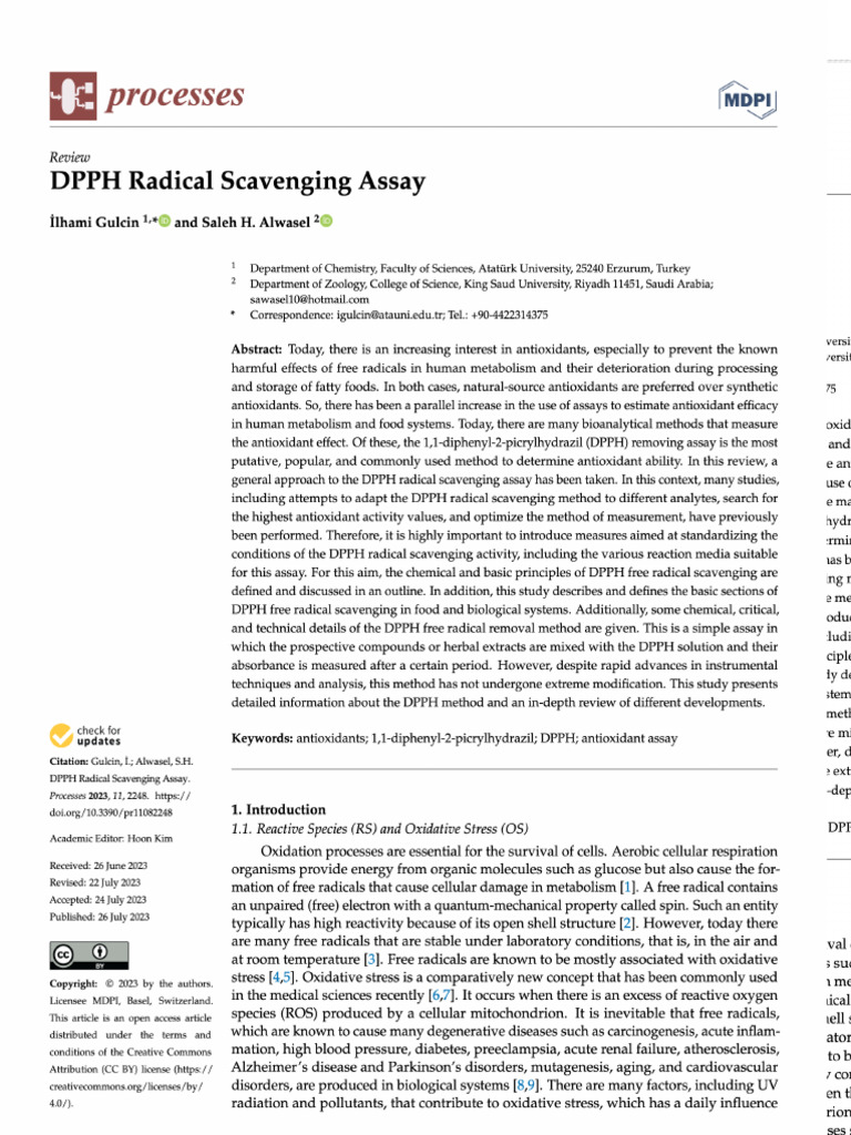 DPPH 2 | PDF