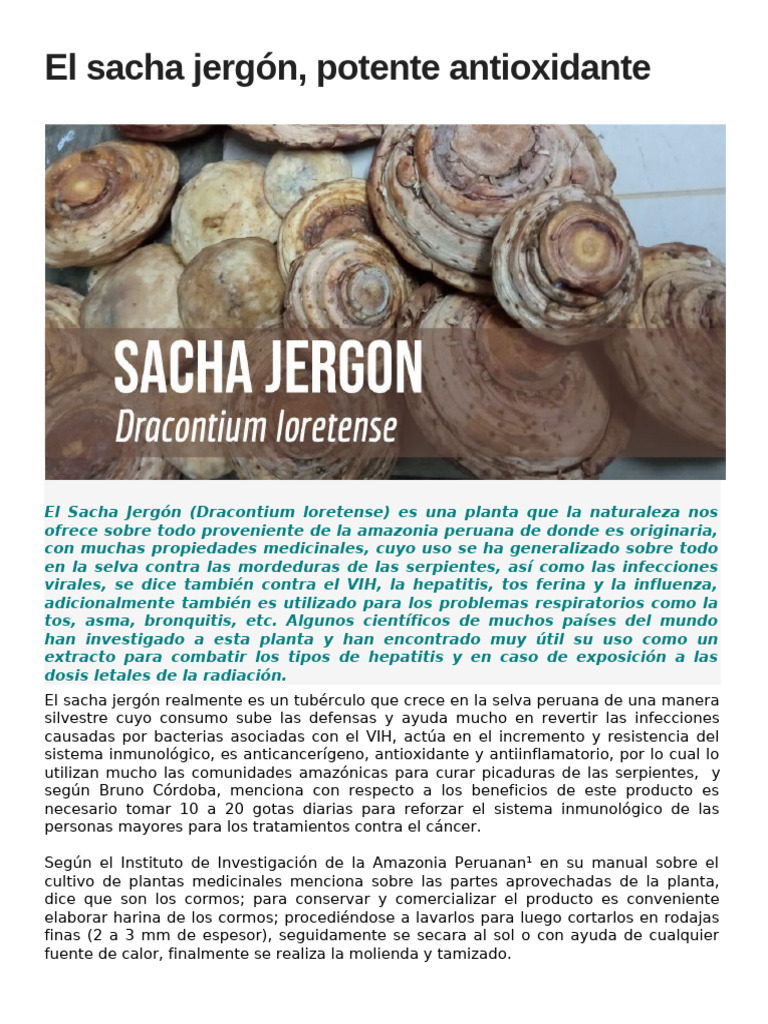 Beneficios del Sacha Jergón en Salud | PDF | Inhibidor de la enzima ...