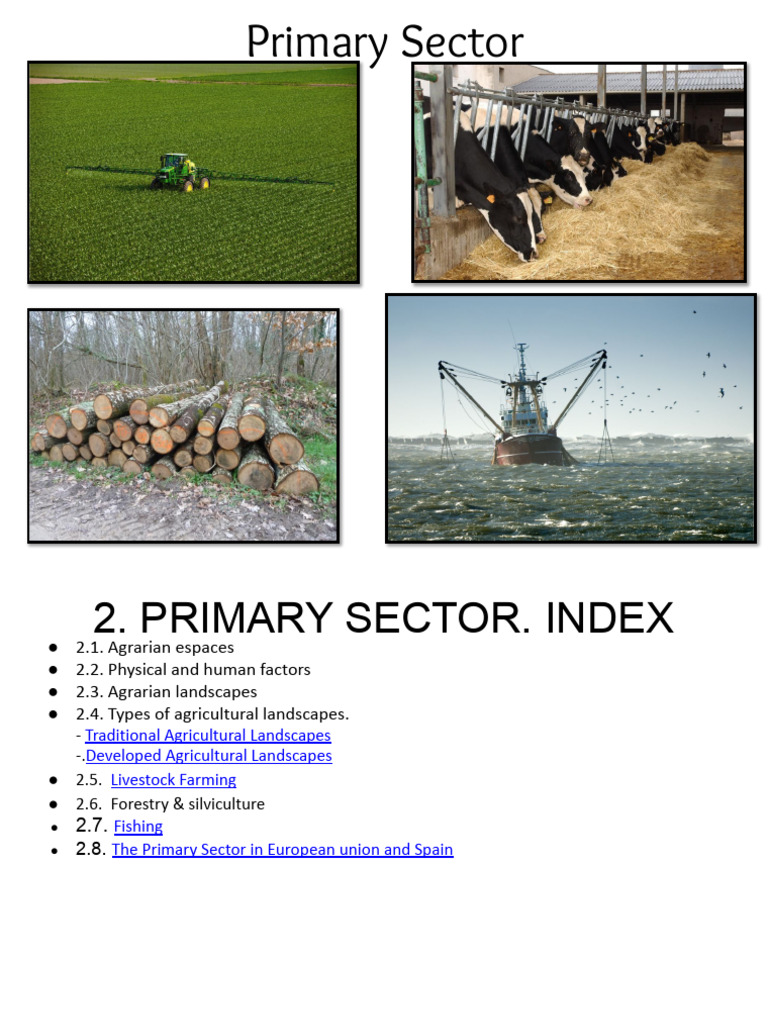 Ud2 - PPT Primary Sector BIl | PDF | Agriculture | Crop Rotation