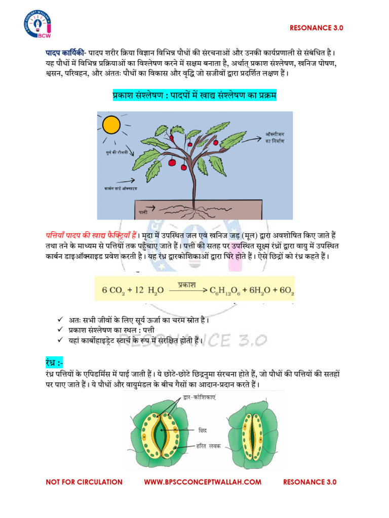 Plant Anatomy & Morphology | PDF