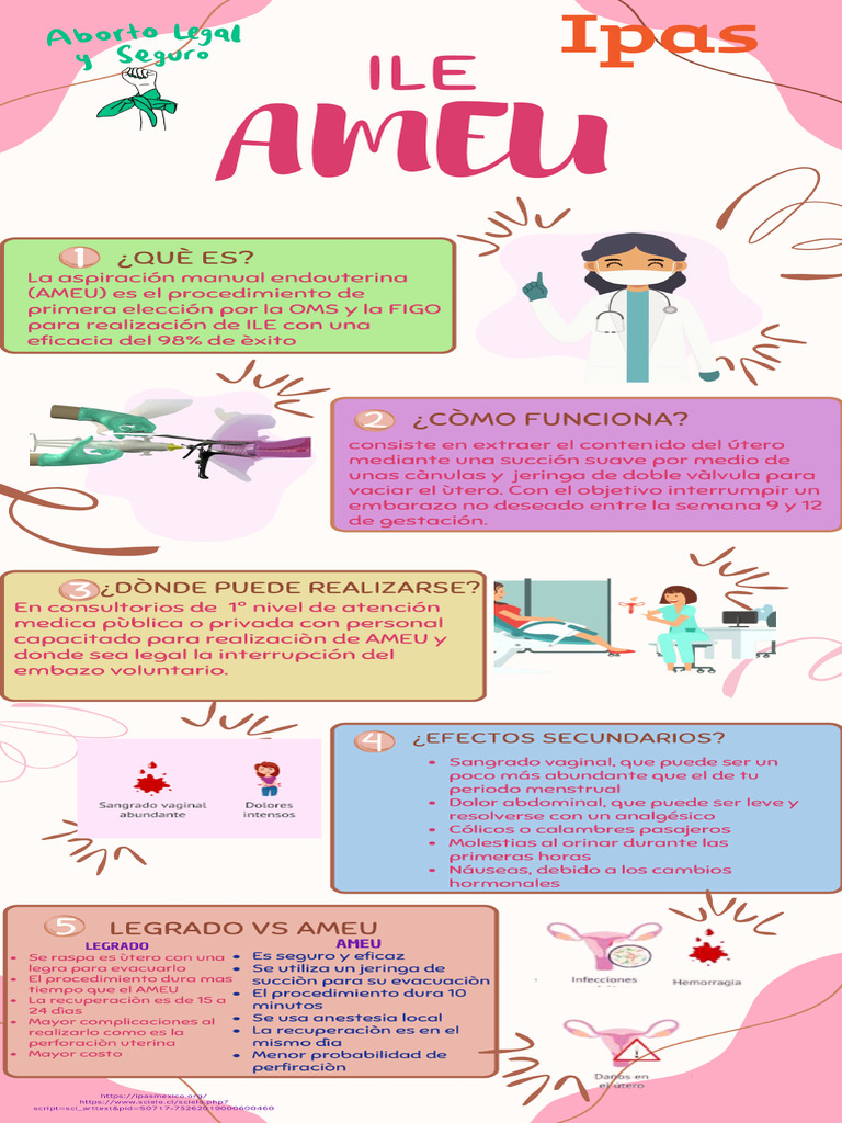 Infografia Ameu | PDF