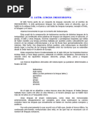 Historia y Evolución del Latín | PDF | latín | imperio Romano