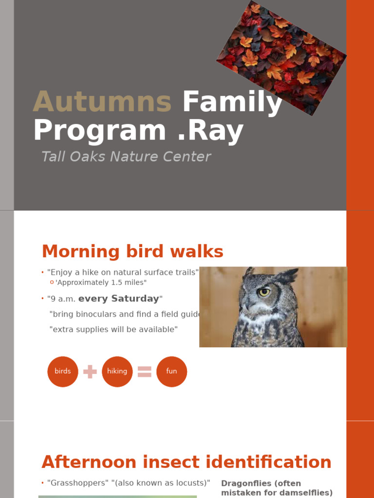 Presentation1 - Copy (1) | PDF