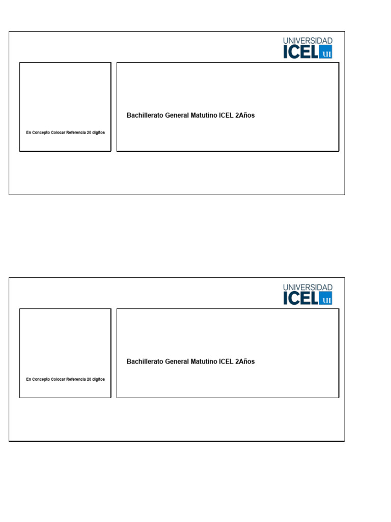 Reference ChargeCredit ICEL | PDF | Finanzas y dinero