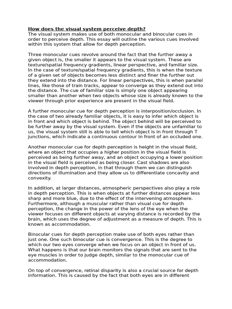 Vision Supervision Essay | PDF | Neuroscience | Visual System