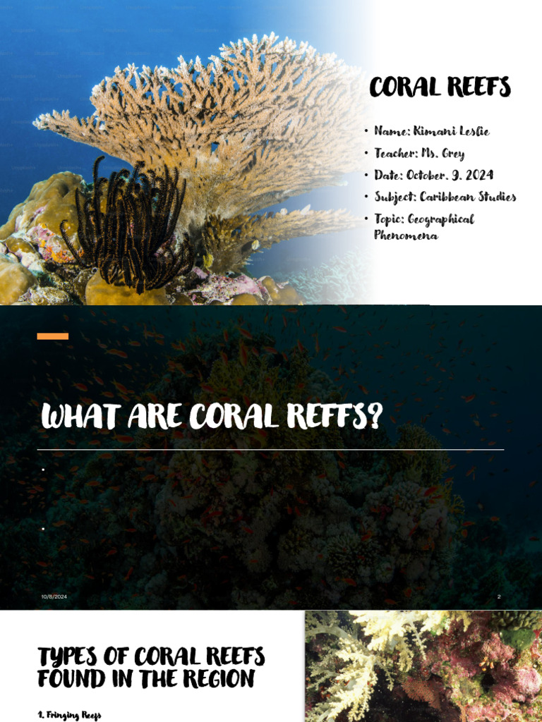 Coral Reefs | PDF | Coral Reef | Coral