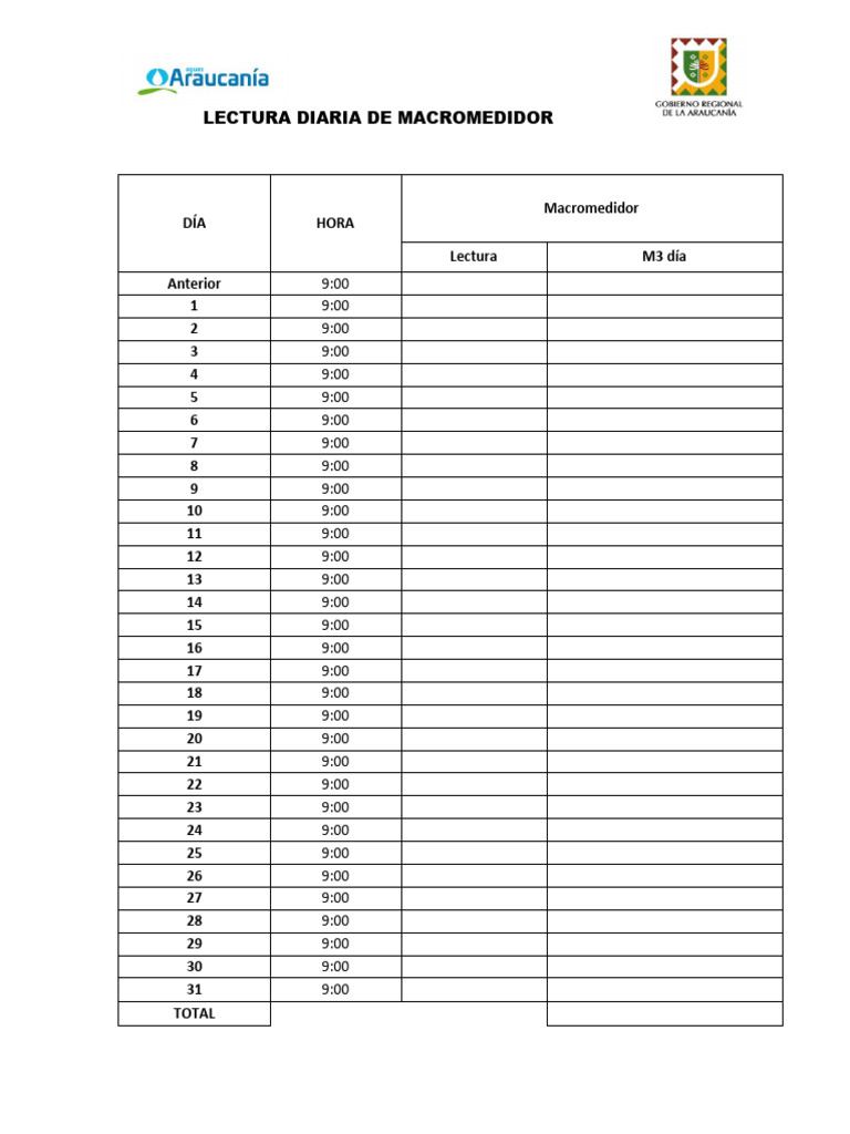 Planilla Macromedidor | PDF