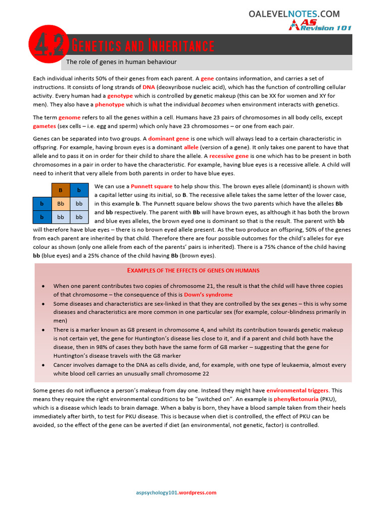 Understanding Genes and Human Traits | PDF | Dominance (Genetics) | Gene