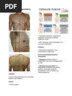 Tórax tonel, pectus carinatum e pectus exacavatum | PDF | Doença de ...