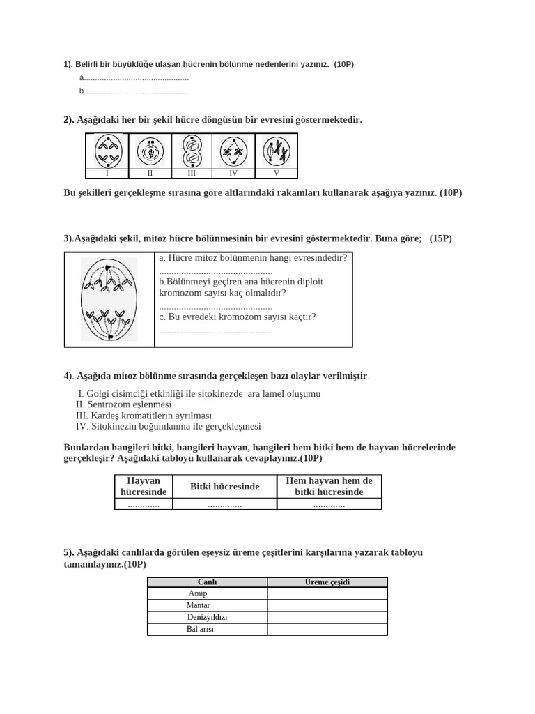 10 Biyo Yazılı | PDF