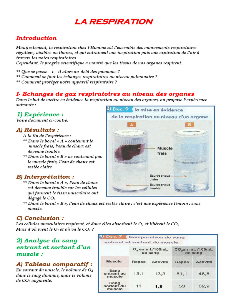 Échanges Gazeux et Protection Respiratoire | PDF | Poumon | Respiration