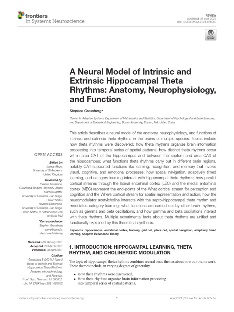 A Neural Model of Intrinsic and Extrinsic Hippocampal Theta Rhythms | PDF | Hippocampus | Neural ...