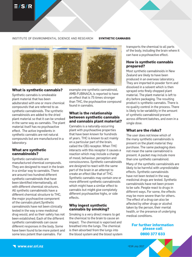 Synthetic Cannabis Information Sheet ESR | PDF | Cannabis ...