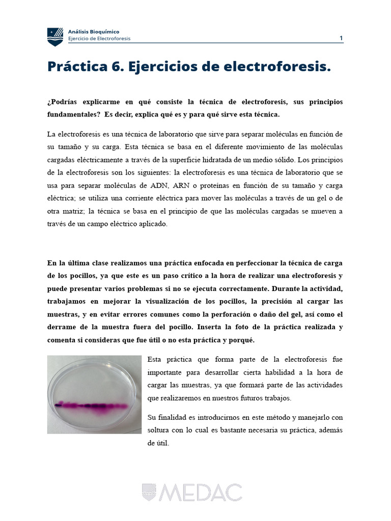 Práctica 6. Ejercicios de Electroforesis. | PDF | Electroforesis | Ciencias de la vida