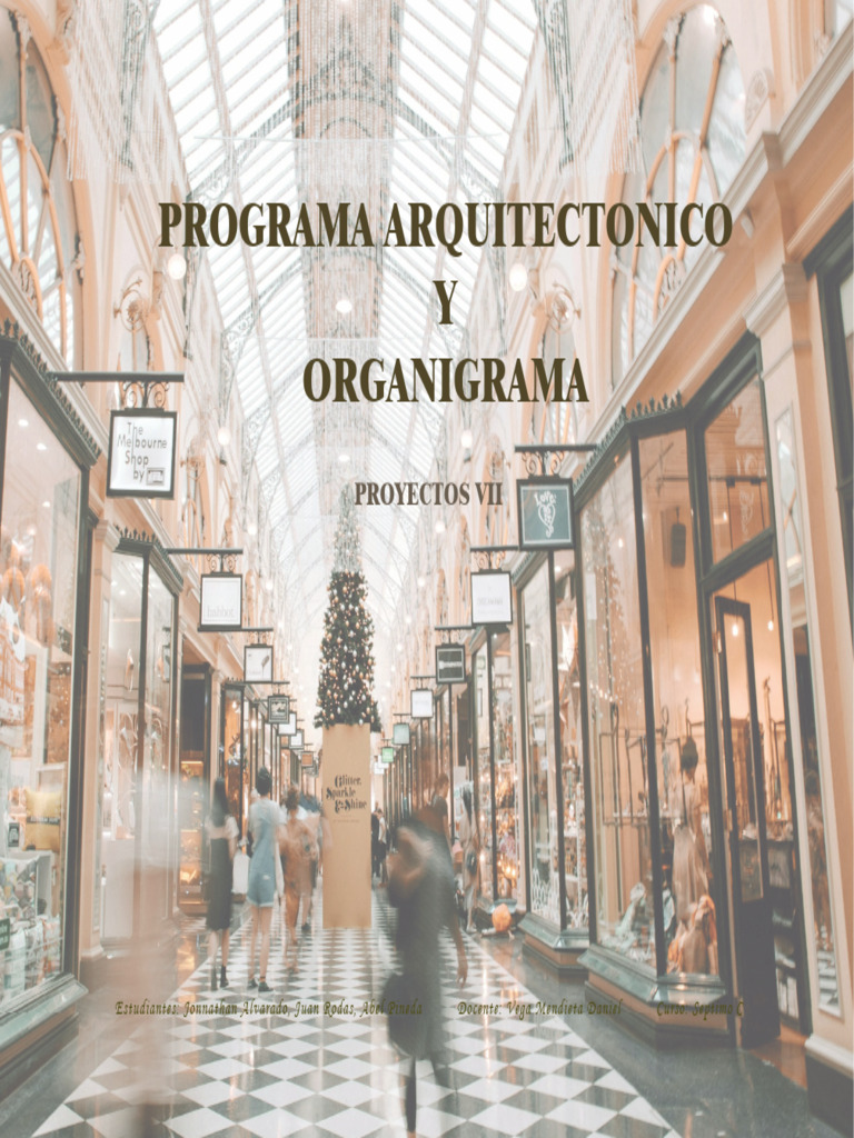 Orga Programacion Proyectos 1 - Rotated | PDF