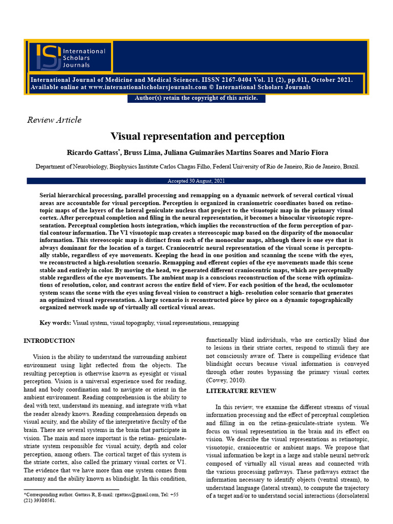 Visual Representation and Perception | PDF | Visual Cortex | Visual System