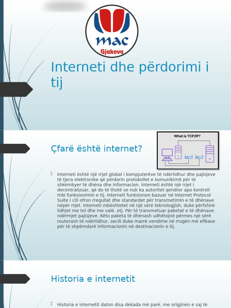 The Internet and It's Uses | PDF