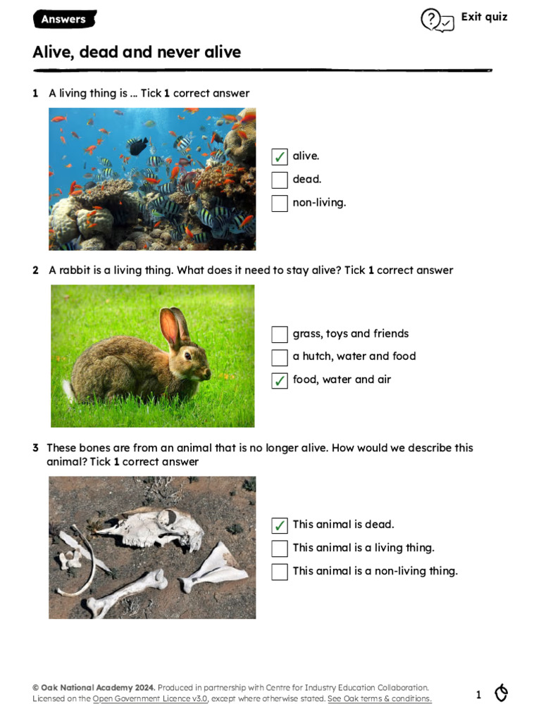 exit-quiz-answers | PDF