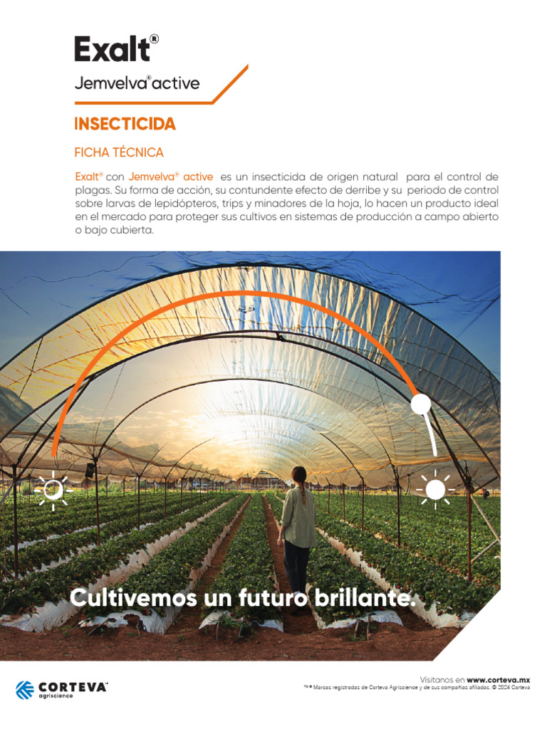 F.T. Exalt | PDF | Insecticida