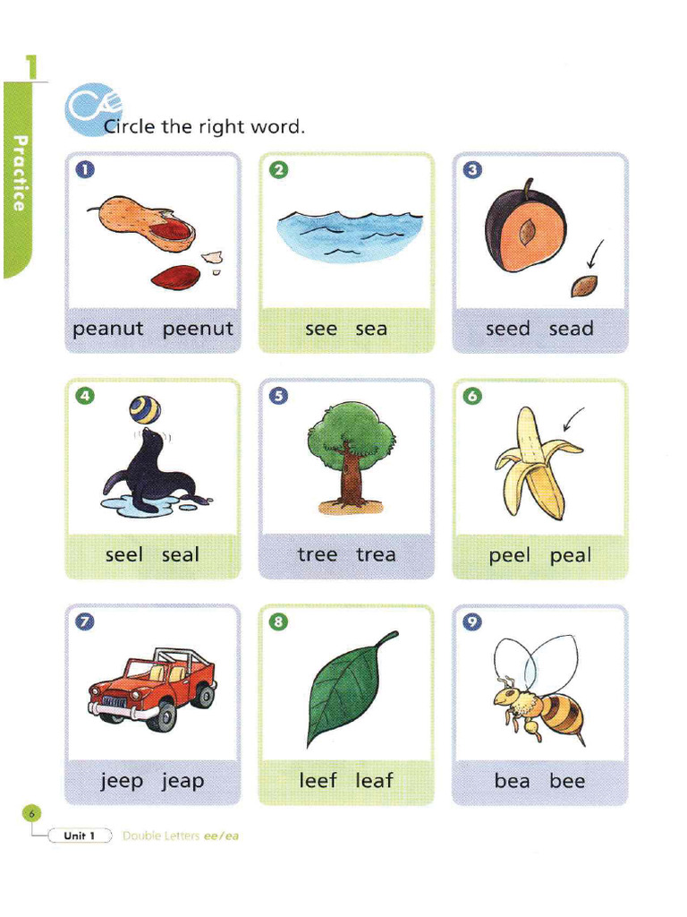 Smart Phonics 5 | PDF