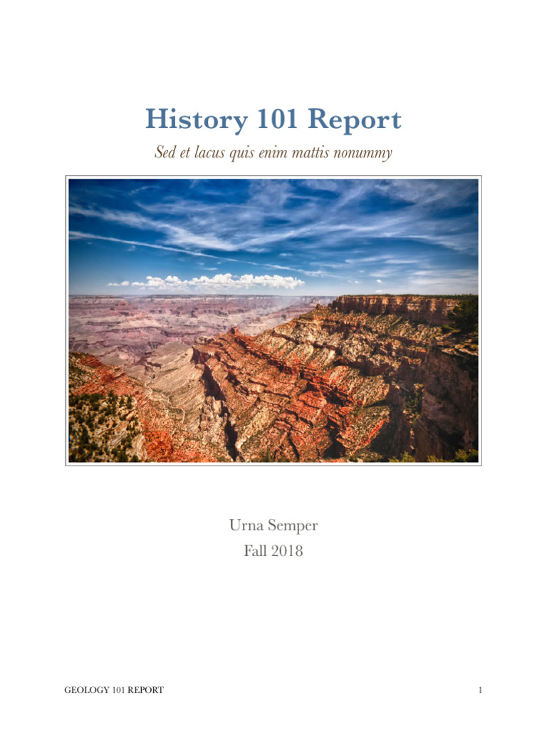 History 101 Report | PDF