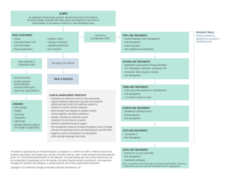 IC Bladder Pain Syndrome Figure1 Algorithm | PDF | Clinical Medicine ...