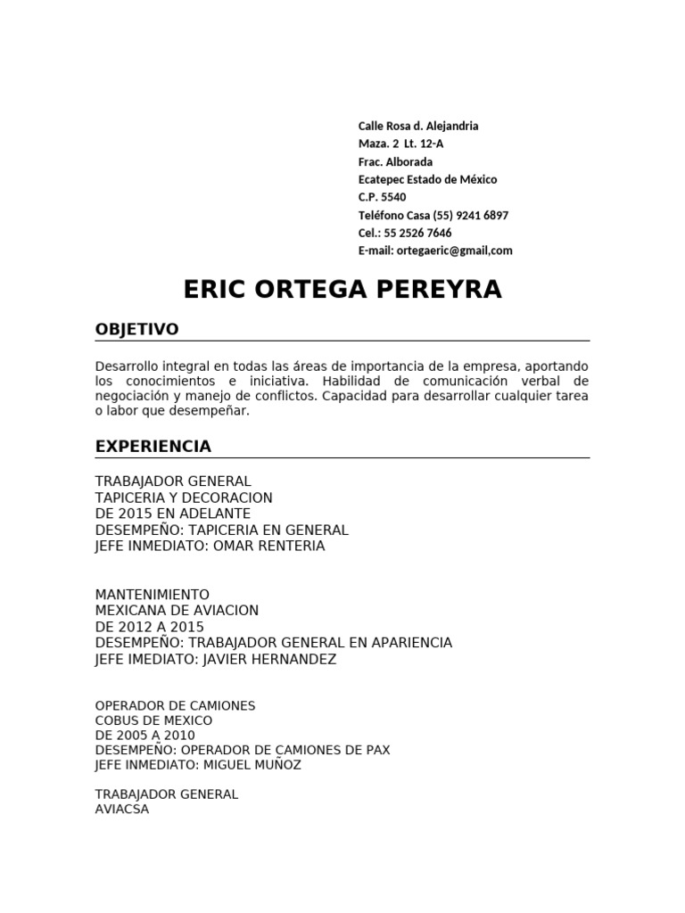 Curriculum Eric | PDF