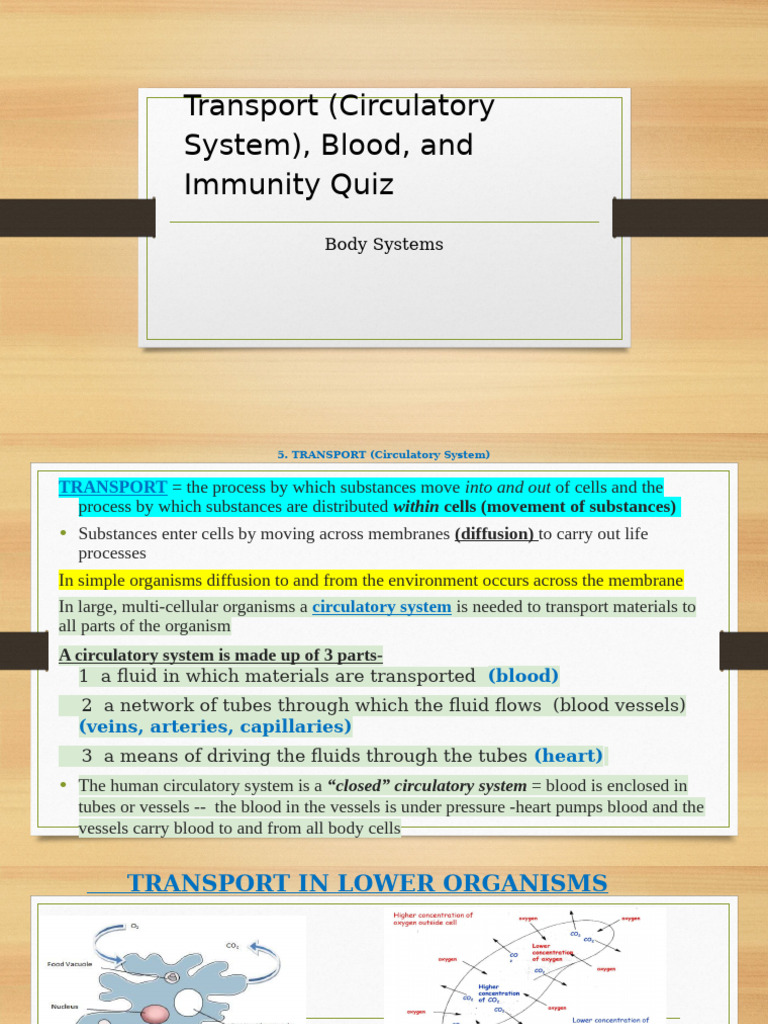Transport (Circulatory System), Blood, and Immunity Quiz | PDF | Immune ...