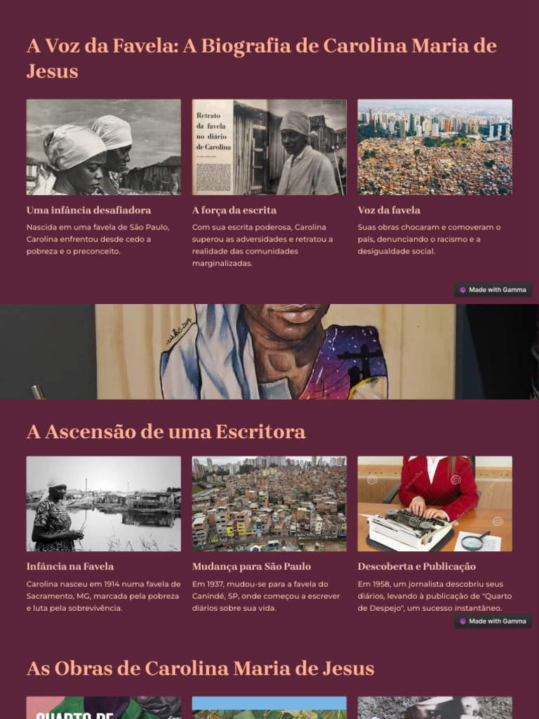 A Voz Da Favela A Biografia de Carolina Maria de Jesus | PDF | Favela | Racismo